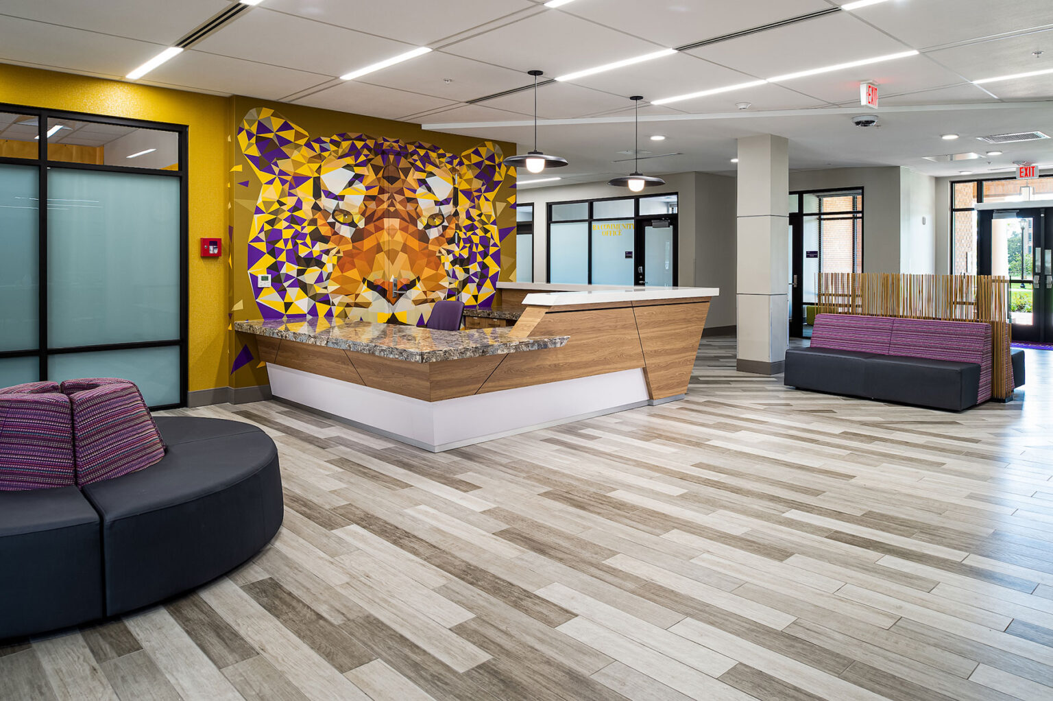 Louisiana State University P3 Phase III