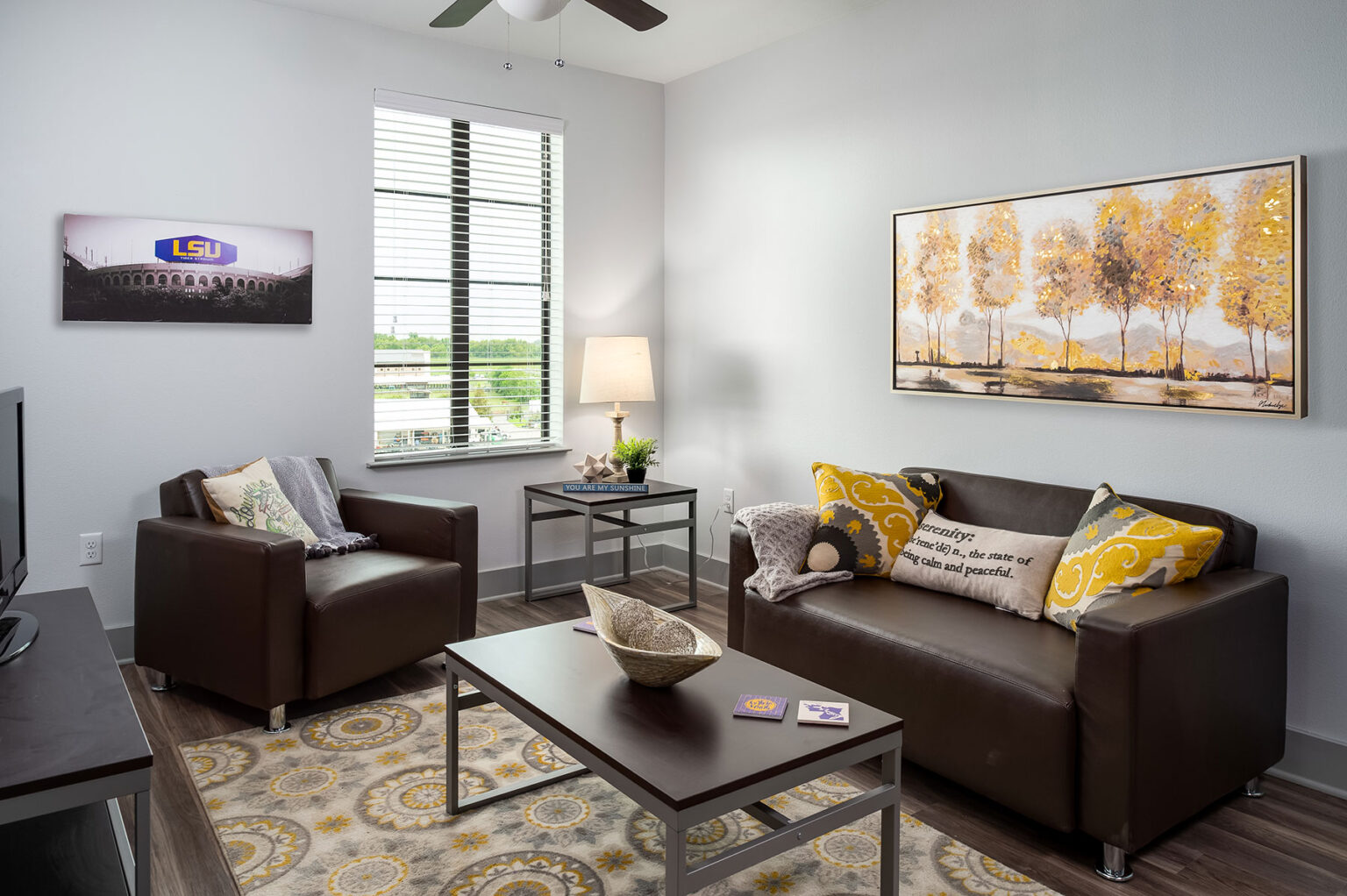 Louisiana State University P3 Phase I